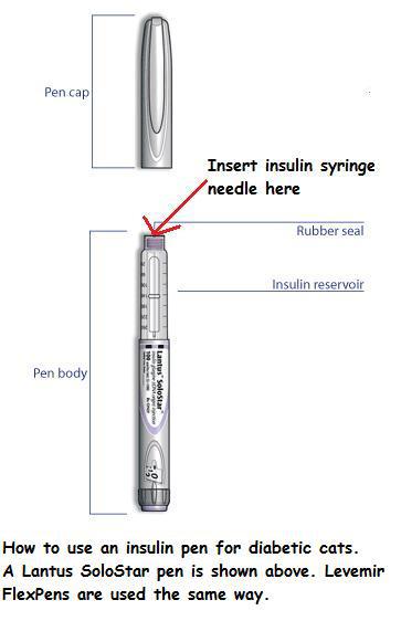 How to draw insulin from a pen. | Feline Diabetes Message Board - FDMB